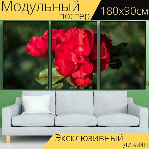 Модульный постер "Розы, осень, увядание" 180 x 90 см. для интерьера