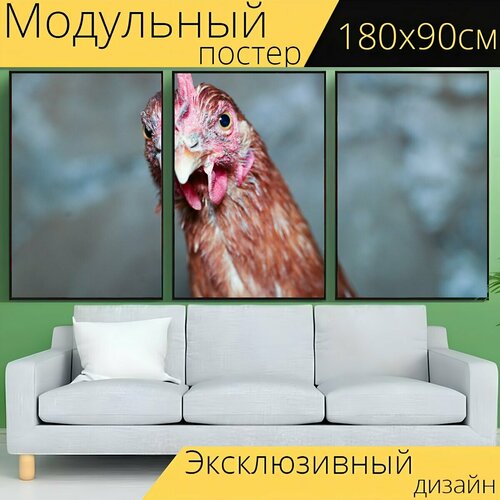 Модульный постер "Курица, птица, тряпка" 180 x 90 см. для интерьера