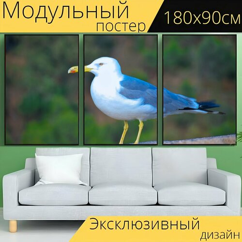 Модульный постер "Чайка, птица, способ" 180 x 90 см. для интерьера