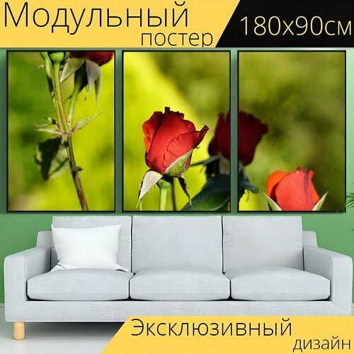 Модульный постер "Бутоны роз, цветы, красный" 180 x 90 см. для интерьера
