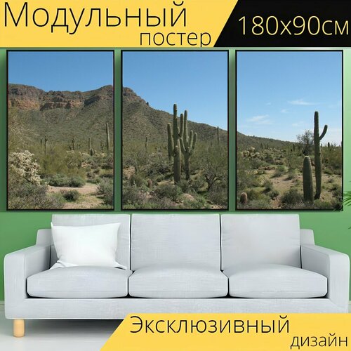 Модульный постер "Пустыня, кактус, природа" 180 x 90 см. для интерьера