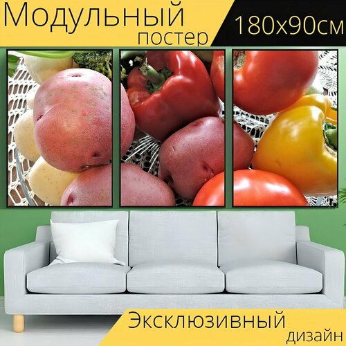 Модульный постер "Рынок овощей, молодой картофель, перец" 180 x 90 см. для интерьера
