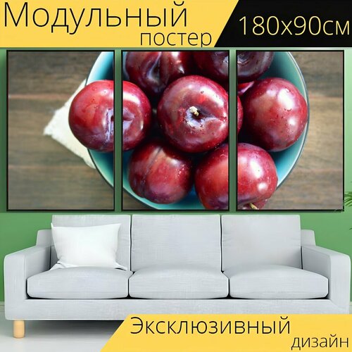 Модульный постер "Слива, фрукты, еда" 180 x 90 см. для интерьера
