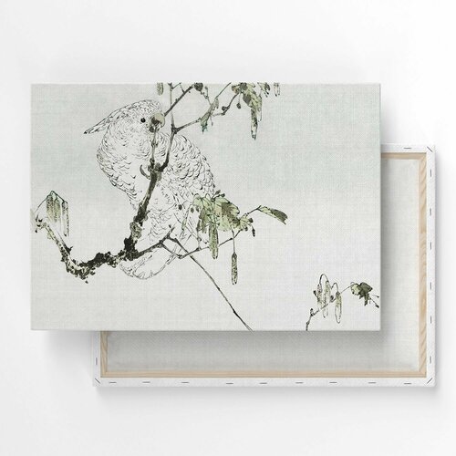 Картина на холсте, репродукция / Ватанабэ Сэйтей - White cockatoo perched on a branch / Размер 30 x 40 см