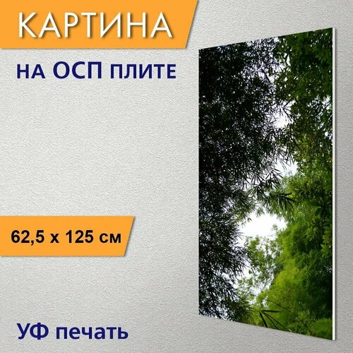 Вертикальная картина на ОСП "Бамбук, листья, бамбуковые растения" 62x125 см. для интерьериа