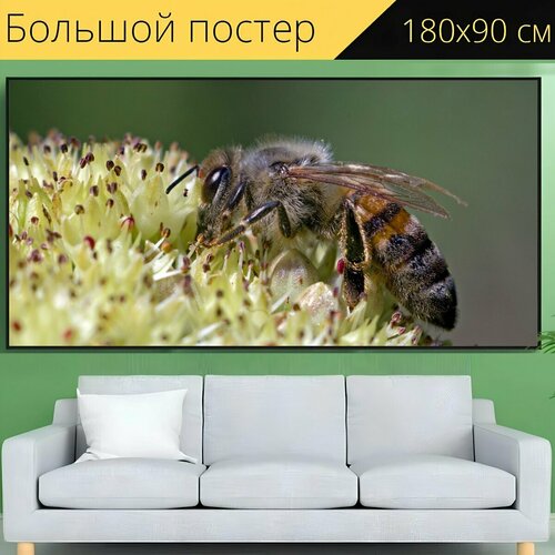 Большой постер "Пчела, насекомые, нектар" 180 x 90 см. для интерьера