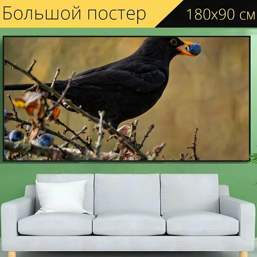 Большой постер "Черный дрозд, птица, животные" 180 x 90 см. для интерьера