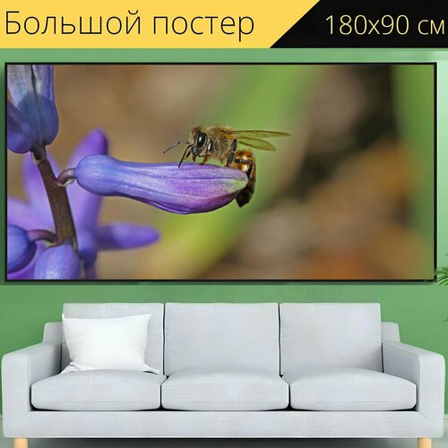 Большой постер "Пчела, насекомое, цветок" 180 x 90 см. для интерьера