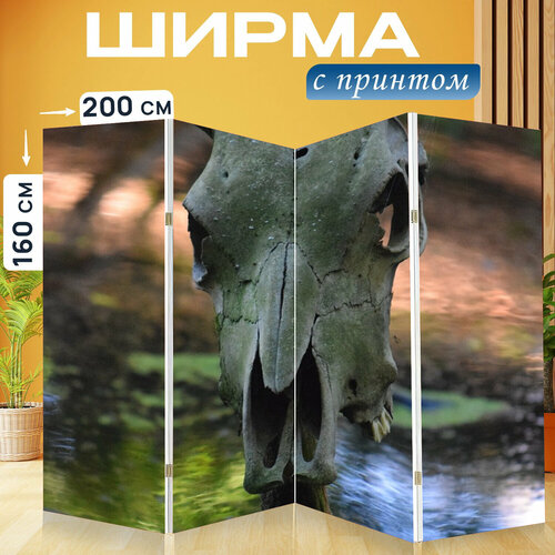 Ширма перегородка с принтом "Череп, животное, музей викингов" на холсте - 200x160 см. для зонирования, раскладная