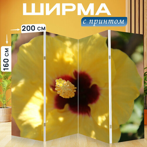 Ширма перегородка с принтом "Цветок, гибискус, желтый" на холсте - 200x160 см. для зонирования, раскладная