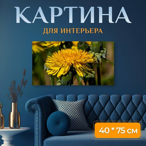 Картина на холсте "Одуванчик, цветок, желтый" на подрамнике 75х40 см. для интерьера