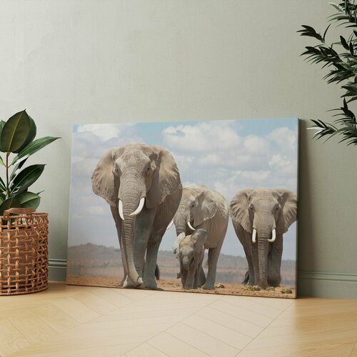 Картина на холсте "Стадо слонов идет по грязному полю" 30x40 см. Интерьерная, на стену.