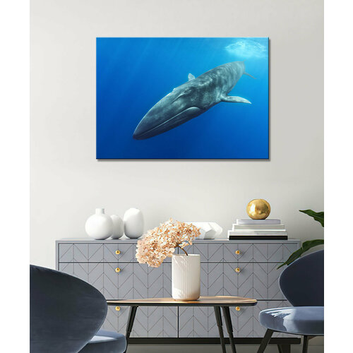 Картина - кит, синий кит, кит в океане, огромный кит, кит в воде (8) 50х70