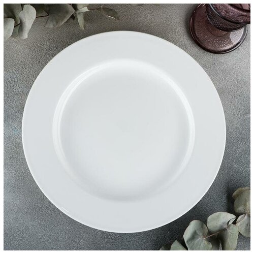 Тарелка фарфоровая обеденная Stella Pro, d=25,5 см, цвет белый