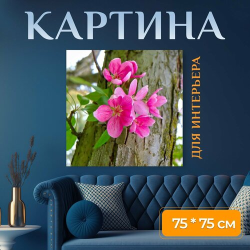 Картина на холсте "Яблоневый цвет, весна, природа" на подрамнике 75х75 см. для интерьера