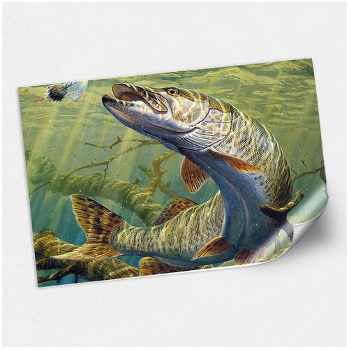 Интерьерный плакат с рыбой / Постер для оформления рыболовного магазина / А-1 (84x60 см.)