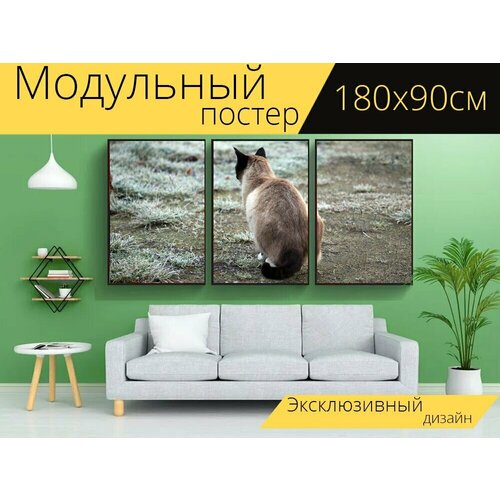 Модульный постер "Сиамский, кот, зима" 180 x 90 см. для интерьера