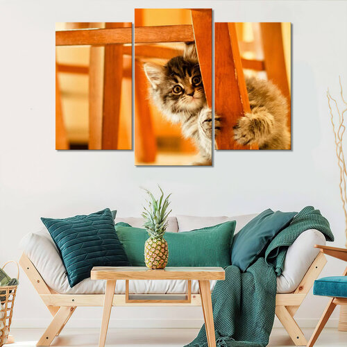 Модульная картина/Модульная картина на холсте/Модульная картина в подарок/Персидская кошка - Persian cat 120х80