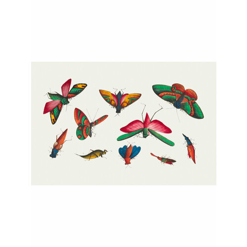 Плакат, постер на холсте Китайские бабочки. Размер 60 х 84 см