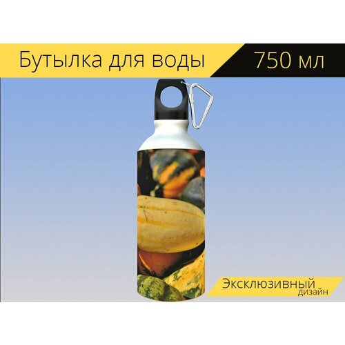 Бутылка фляга для воды "Тыква, фрукты, падение" 750 мл. с карабином и принтом