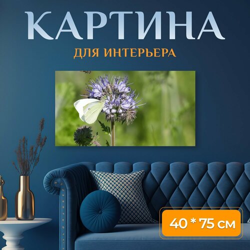 Картина на холсте "Бабочка, журчалки, цветы" на подрамнике 75х40 см. для интерьера