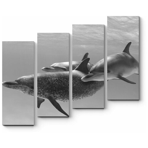 Модульная картина Трио пятнистых дельфинов100x86