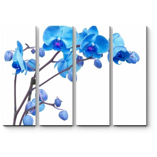 Модульная картина Орхидея небесного цвета80x60