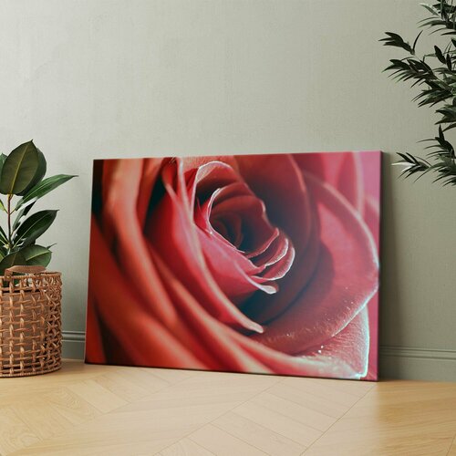 Картина на холсте (Макро цветы, роза крупным планом, лепестки красной розы) 30x40 см. Интерьерная, на стену.