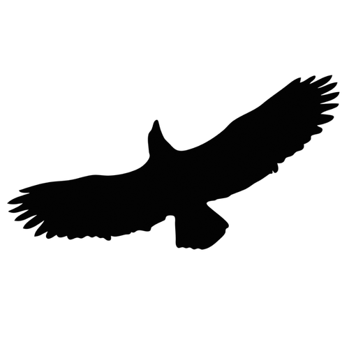 Наклейки-стикеры: силуэты хищных птиц (42 x 30) см - V29