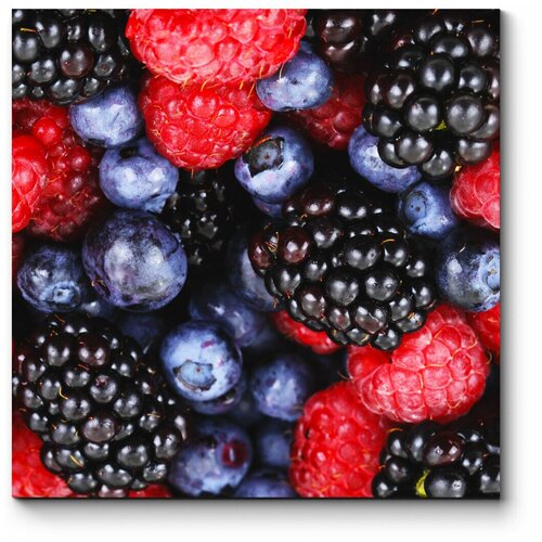 Модульная картина Сладкие ягоды 70x70