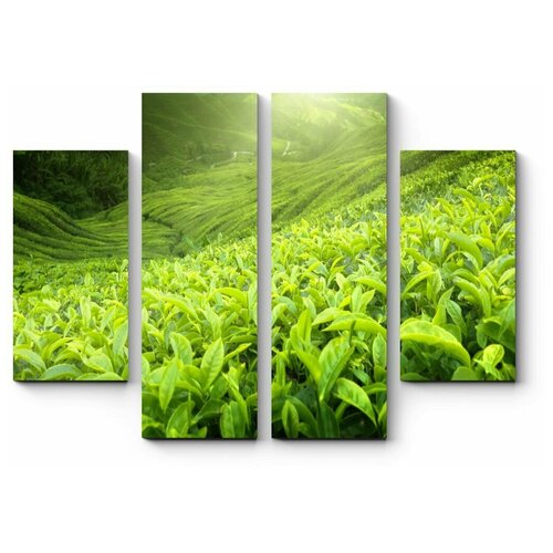 Модульная картина Бескрайняя зелень полей 90x68