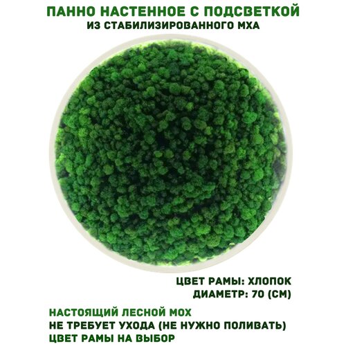 Круглое панно из стабилизированно мха GardenGo с подсветкой в рамке цвета хлопок, диаметр 70 см, цвет мха зеленый