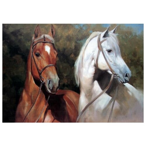Постер на холсте Лошади (Horses) №25 71см. x 50см.