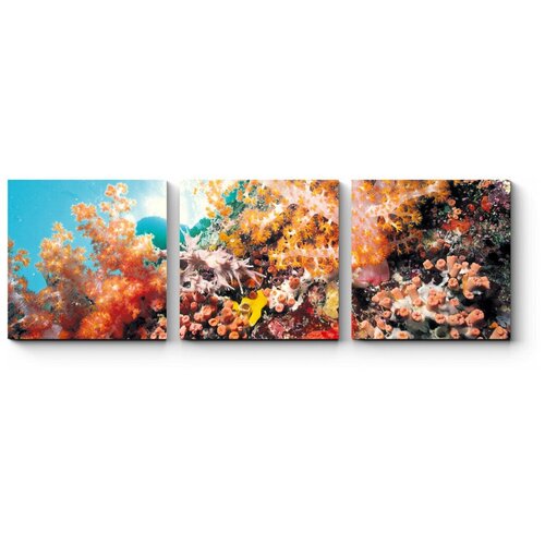Модульная картина Яркий коралловый мир 120x40