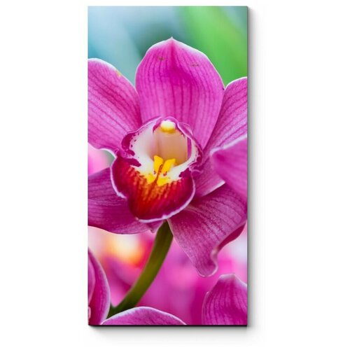 Модульная картина Тайские орхидеи, Чиангмай (Таиланд) 100x200