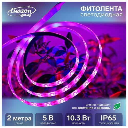 Фитолента светодиодная Luazon, 5 В, SMD5050, 2 м, IP65, 10.3 Вт, 60 LED/м, дим, USB