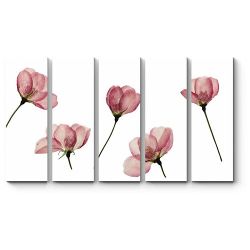 Модульная картина Сухие цветы 110x66