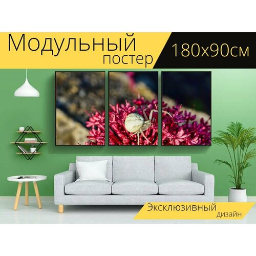 Модульный постер "Крабовый паук, белый паук, паукообразные" 180 x 90 см. для интерьера