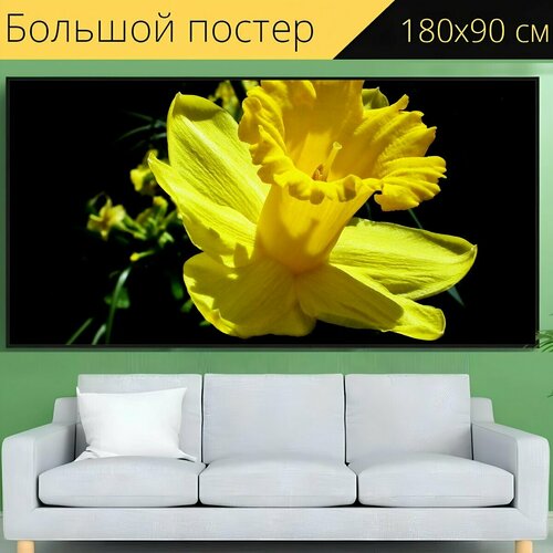 Большой постер "Нарцисс, цветок, весна" 180 x 90 см. для интерьера