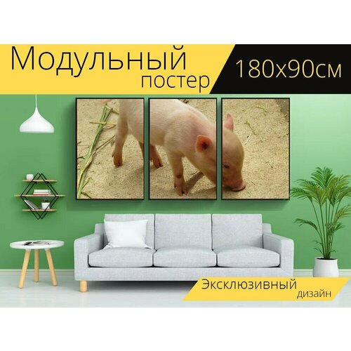Модульный постер "Животное, свинья, поросенок" 180 x 90 см. для интерьера