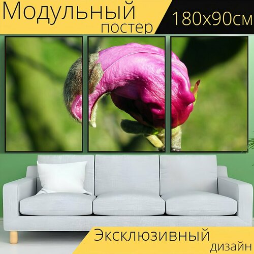 Модульный постер "Цветок, магнолия, весна" 180 x 90 см. для интерьера
