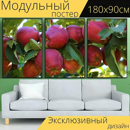 Модульный постер "Яблоко, фрукты, сад" 180 x 90 см. для интерьера