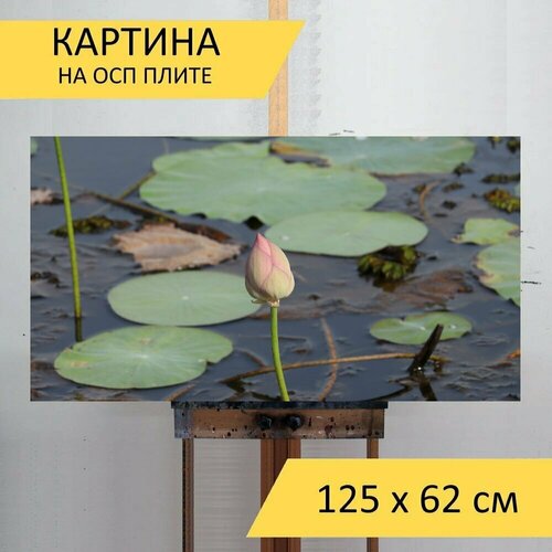 Картина на ОСП 125х62 см. "Керала, вода, листья" горизонтальная, для интерьера, с креплениями