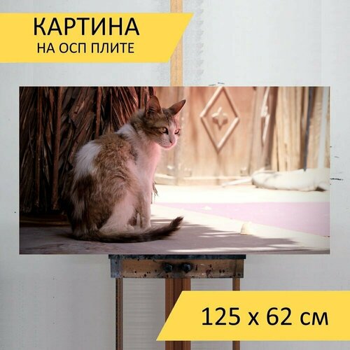 Картина на ОСП 125х62 см. "Кошка, котенок, домашний питомец" горизонтальная, для интерьера, с креплениями