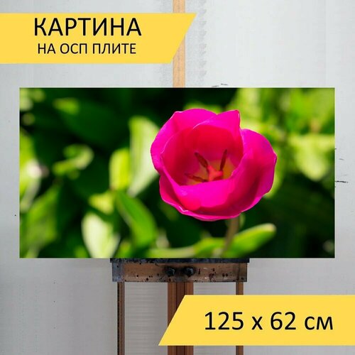 Картина на ОСП 125х62 см. "Природа, весна, растения" горизонтальная, для интерьера, с креплениями