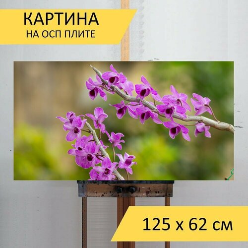 Картина на ОСП 125х62 см. "Орхидея, цветок, сад" горизонтальная, для интерьера, с креплениями