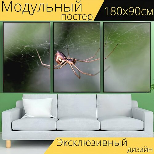 Модульный постер "Паук, паутина, паучий шелк" 180 x 90 см. для интерьера