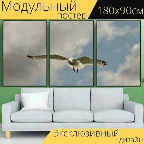 Модульный постер "Чайка, полет, морская птица" 180 x 90 см. для интерьера