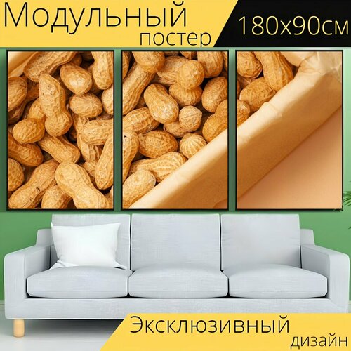 Модульный постер "Арахис, орехи, еда" 180 x 90 см. для интерьера