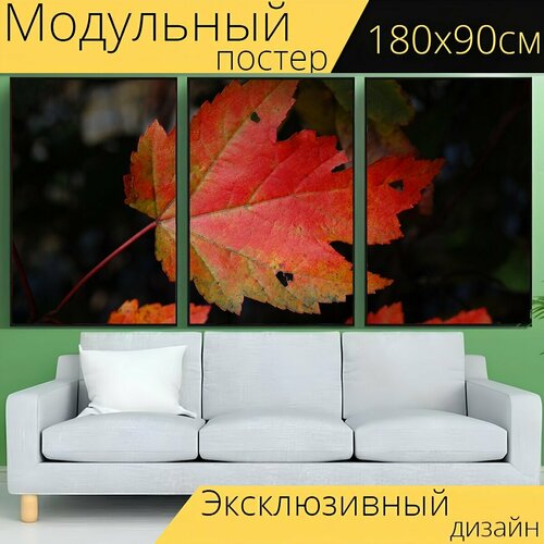 Модульный постер "Осень, размытие, яркий" 180 x 90 см. для интерьера